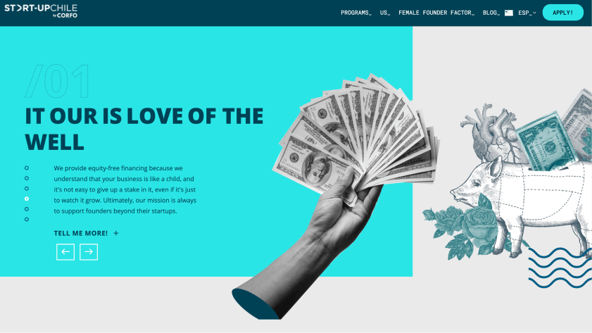 What is an accelerator? A guide for tech startups - Appwrite